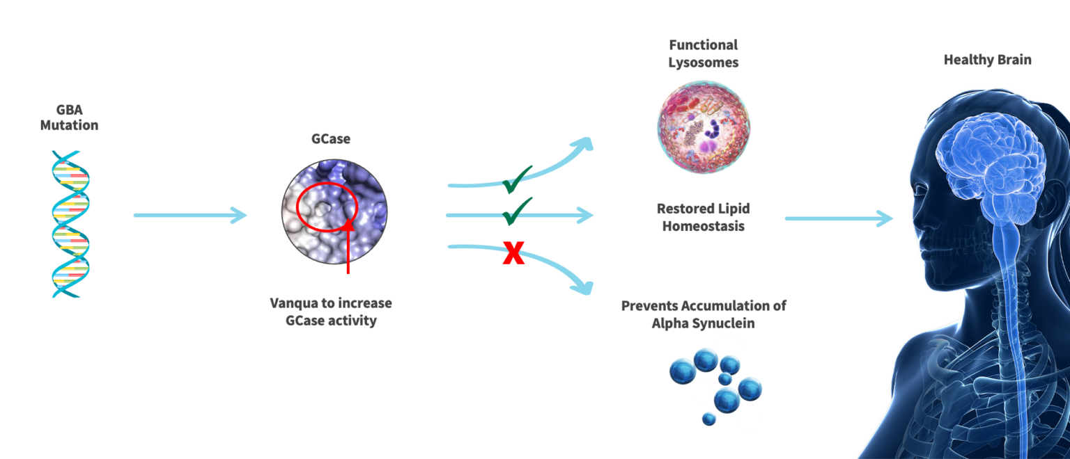 Science & Pipeline - Vanqua Bio